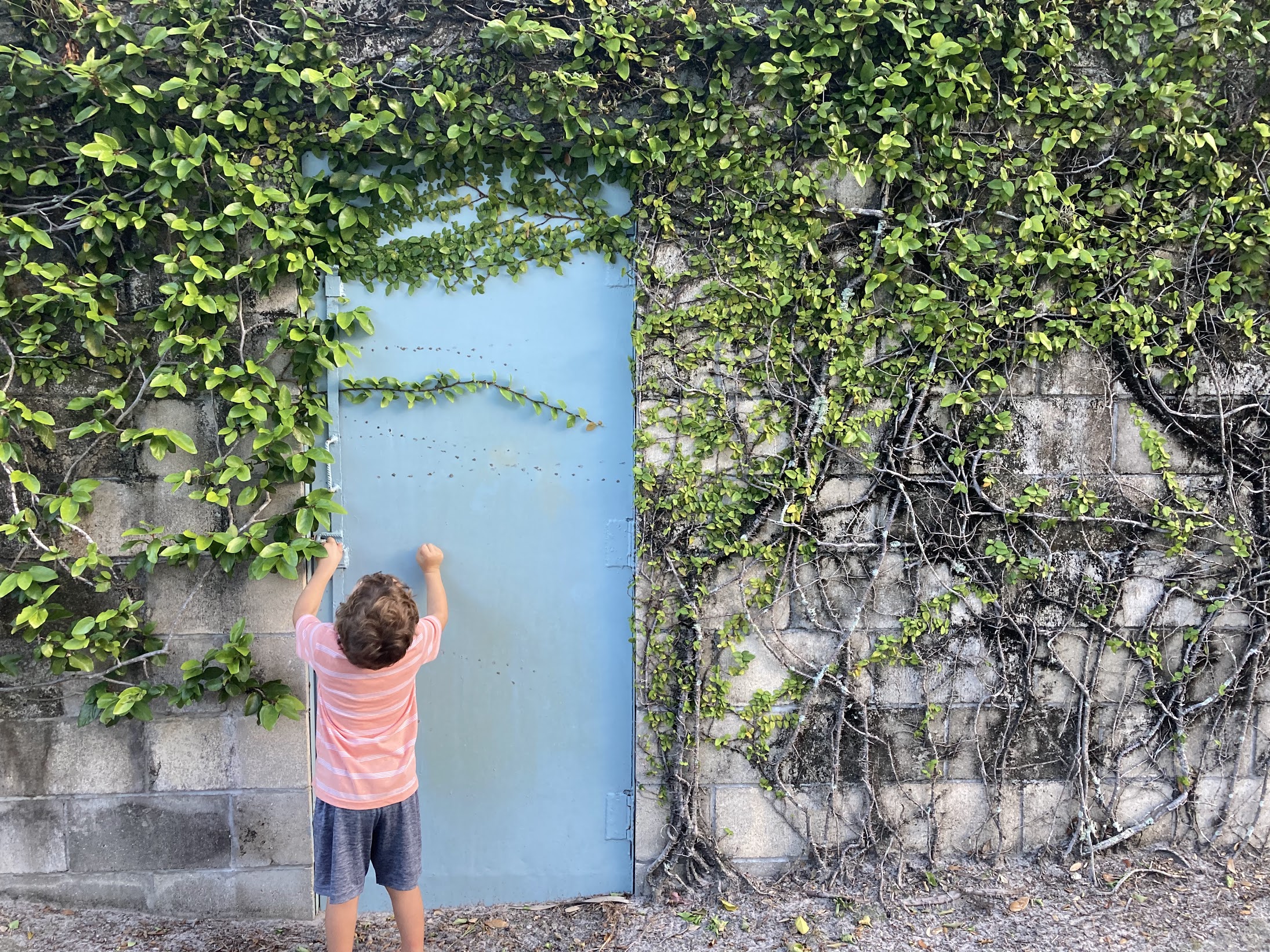 Keep Knocking: He will be with us in trouble | dig deep | draw close